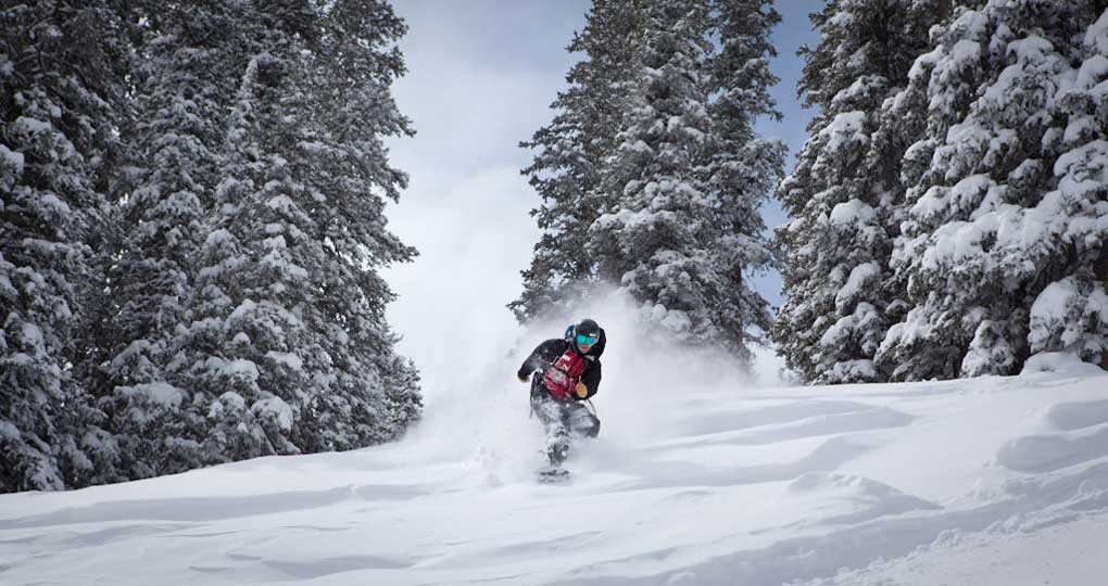 2012-2013 Nitro Team Gullwing | Blister