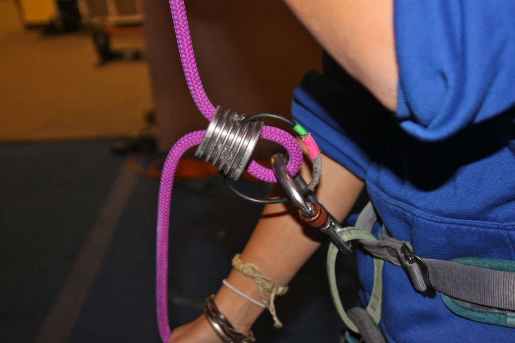 Black Diamond GridLock Screwgate Carabiner | Blister