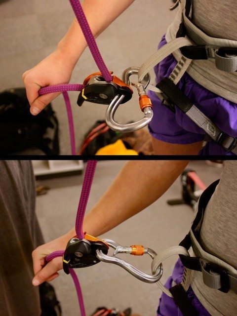 Black Diamond GridLock Screwgate Carabiner | Blister