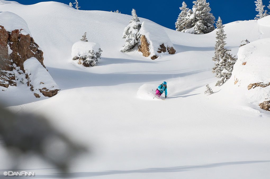 2013-2014 Surface Live Free | Blister