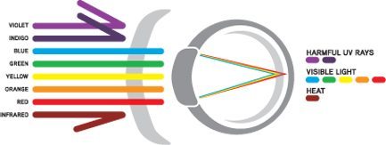 Smith Goggle Lens Guide | Blister