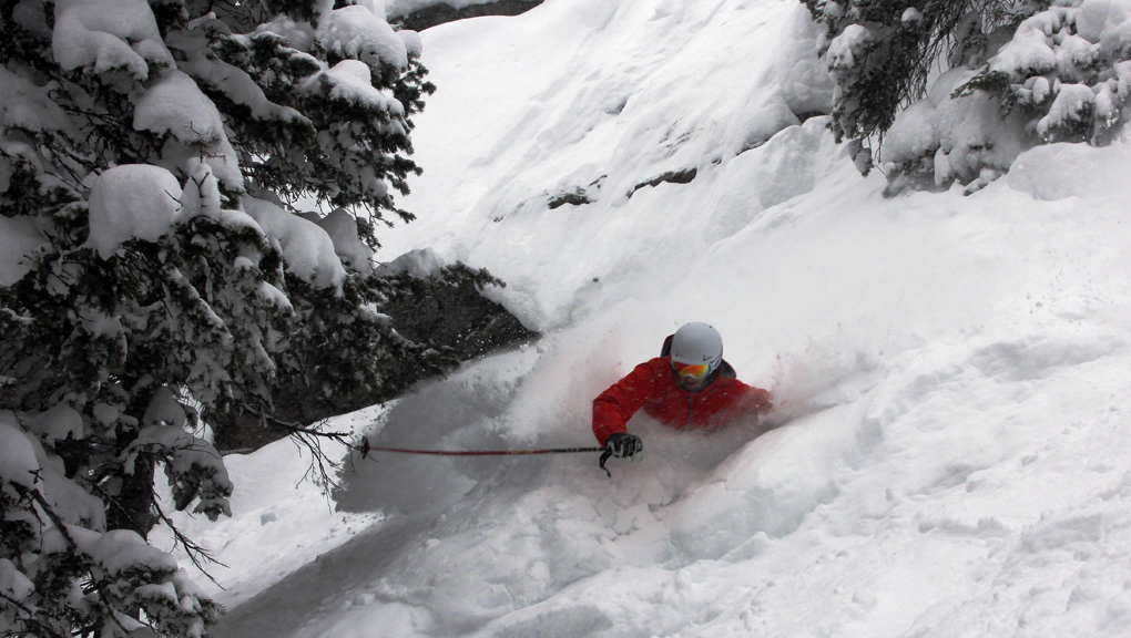 2016-2017 Armada Norwalk | Blister