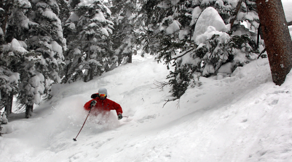 2016-2017 Armada Norwalk | Blister