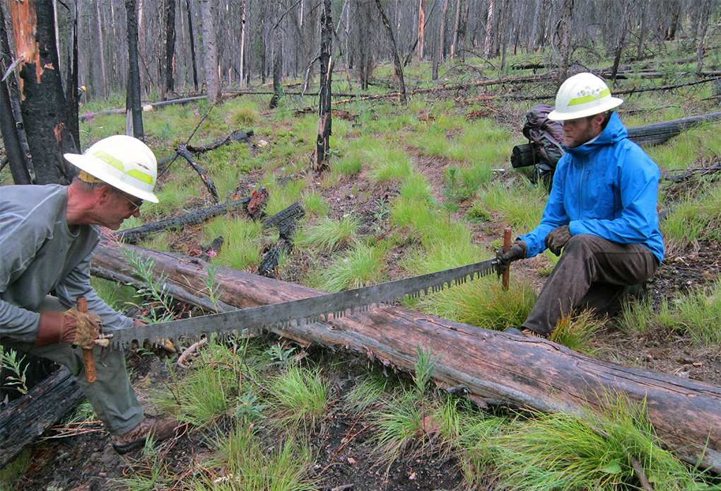 Outdoor Research Axiom Jacket | Blister