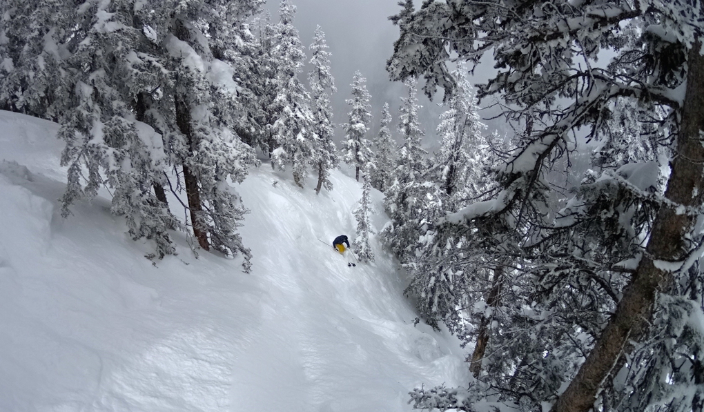 2016-2017 Blizzard Spur | Blister