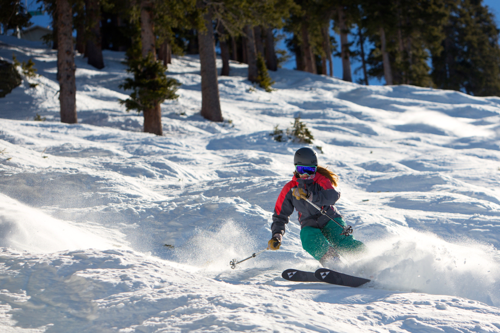 2018-2019 Fischer My Ranger 98 | Blister