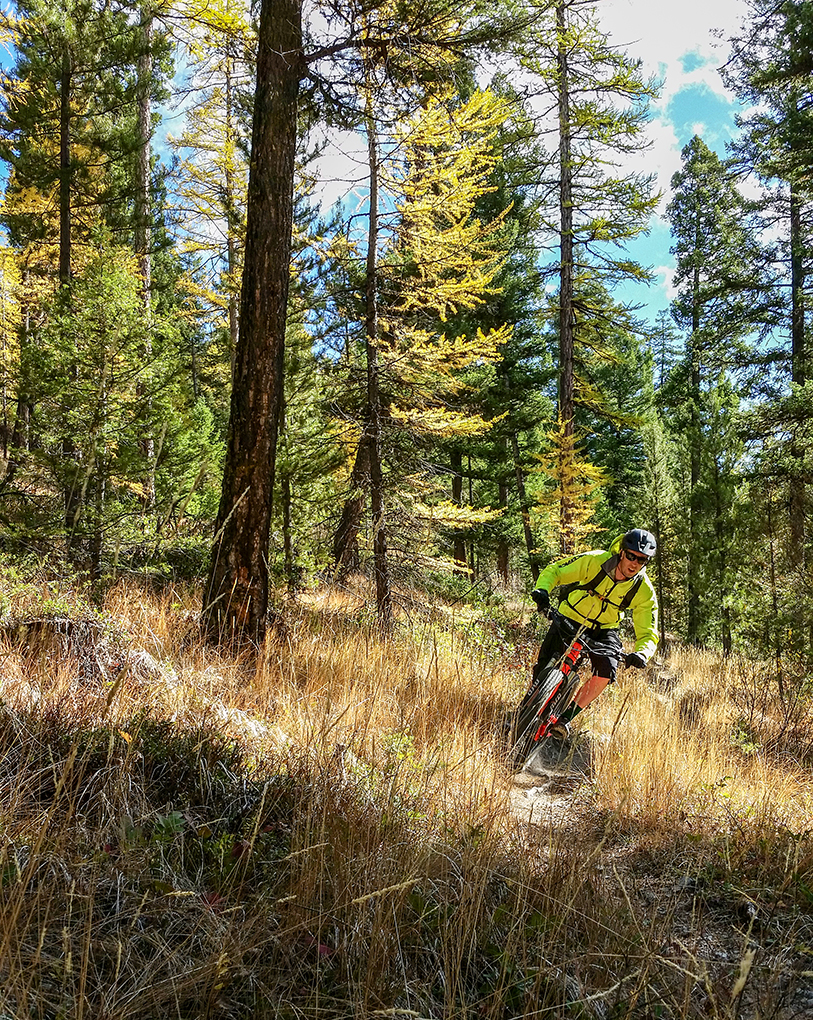 2nd Look: MRP Loop TR 29" Fork | Blister