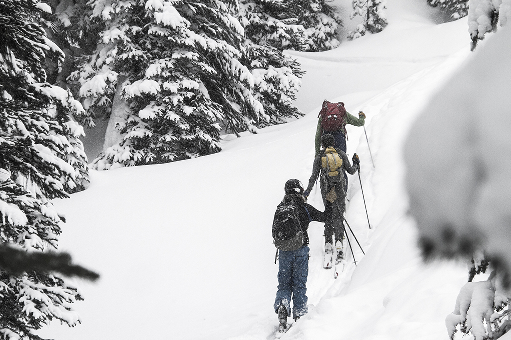 Jumbo Pass, BC | Blister