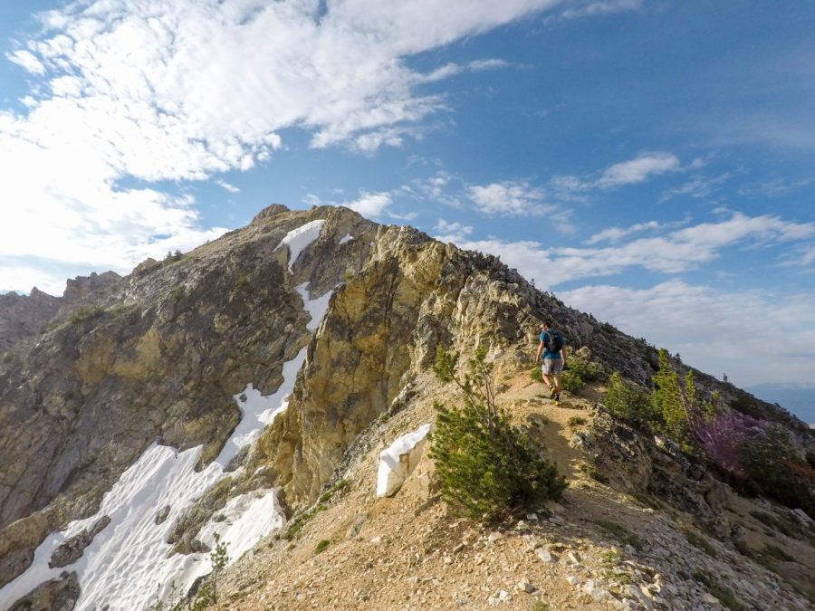 Salomon Skin Pro 15 Set Pack | Blister