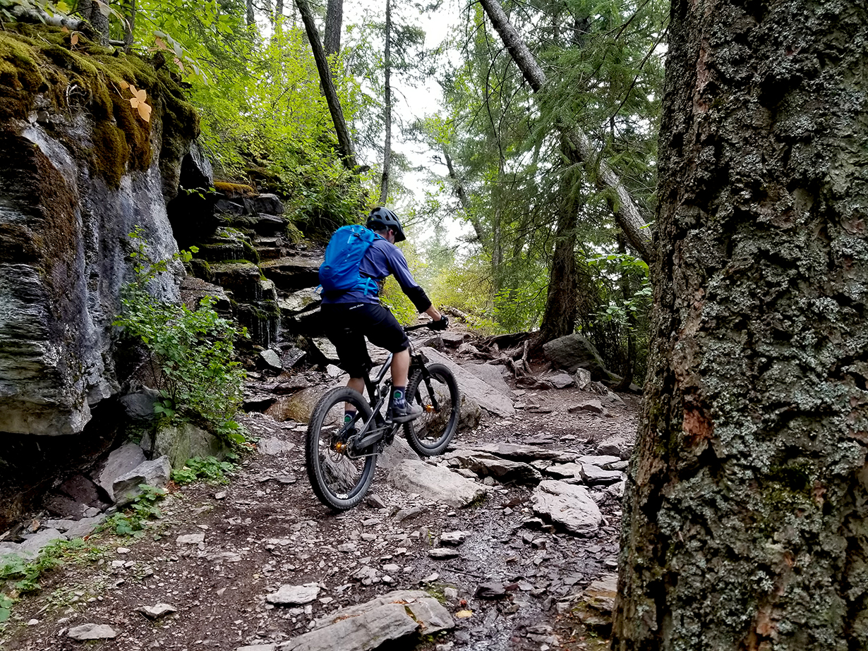 Gregory Endo 15 3D-Hydro | Blister