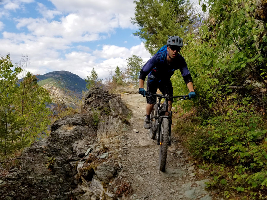 Gregory Endo 15 3D-Hydro | Blister