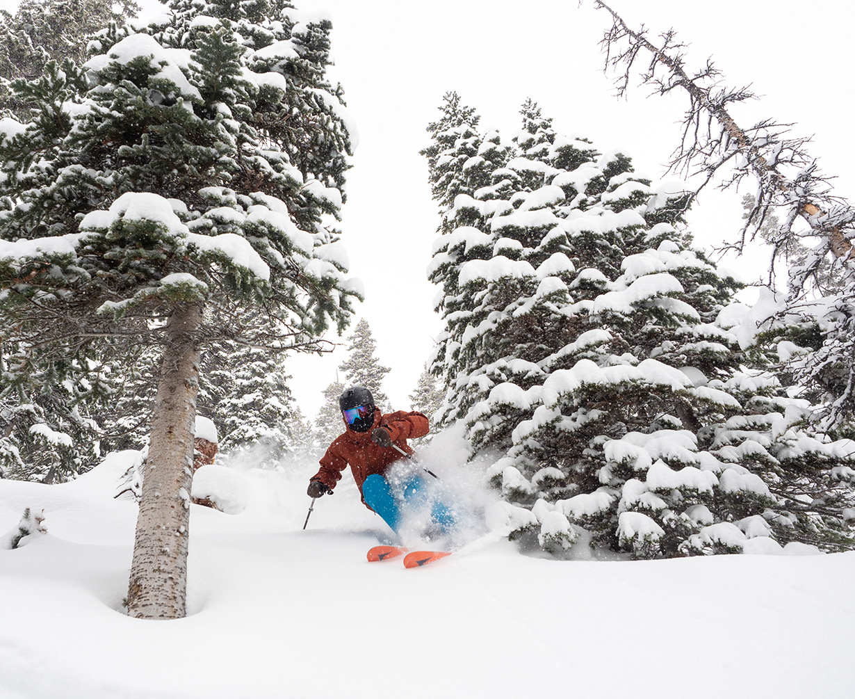 2021-2022 Dynastar M-Free 118 | Blister