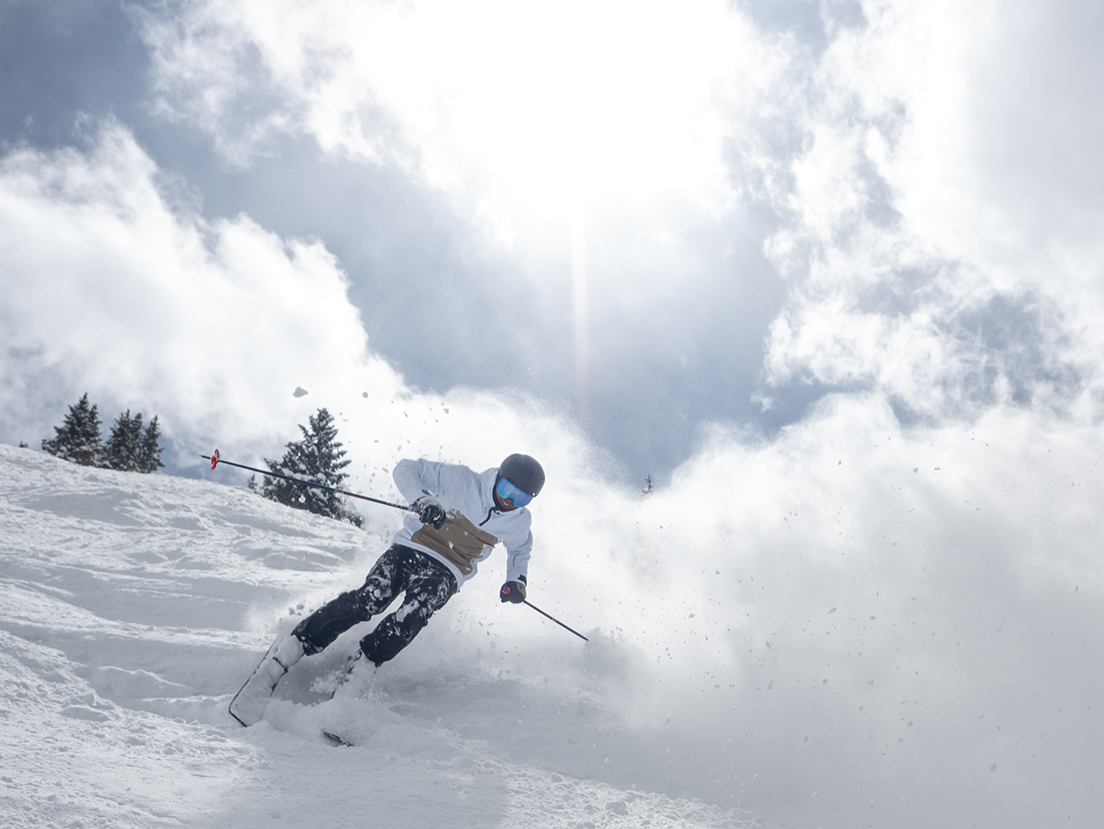 2020-2021 DPS Foundation Koala 119 | Blister