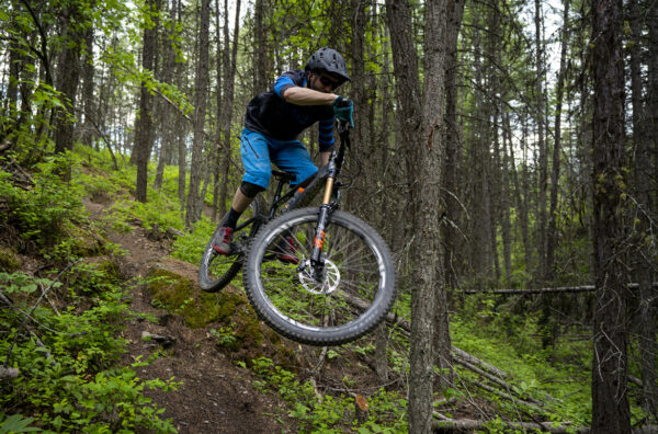 2021 Fox 38 Fork | Blister