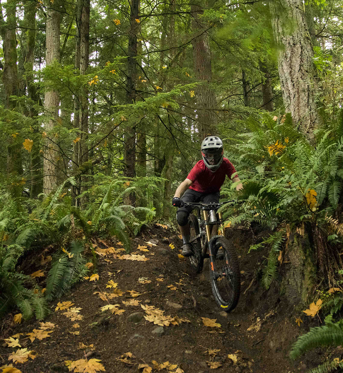 EXT Storia Lok V3 Shock | Blister