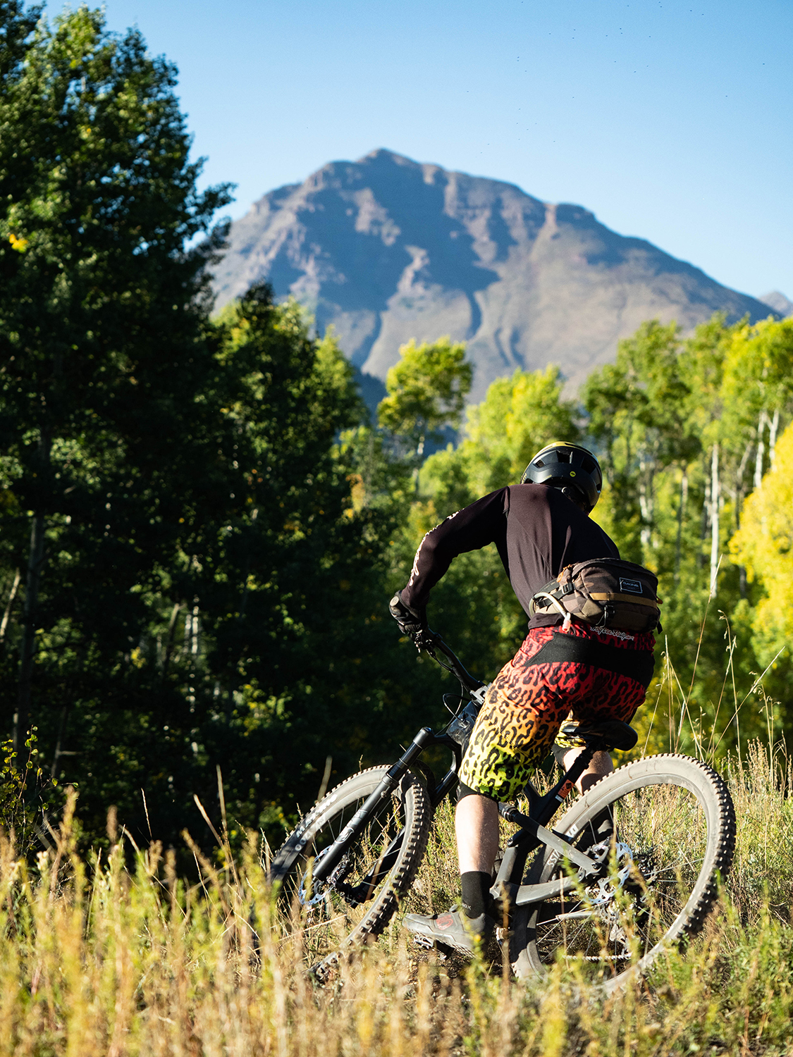 2021 Canyon Spectral 29 | Blister