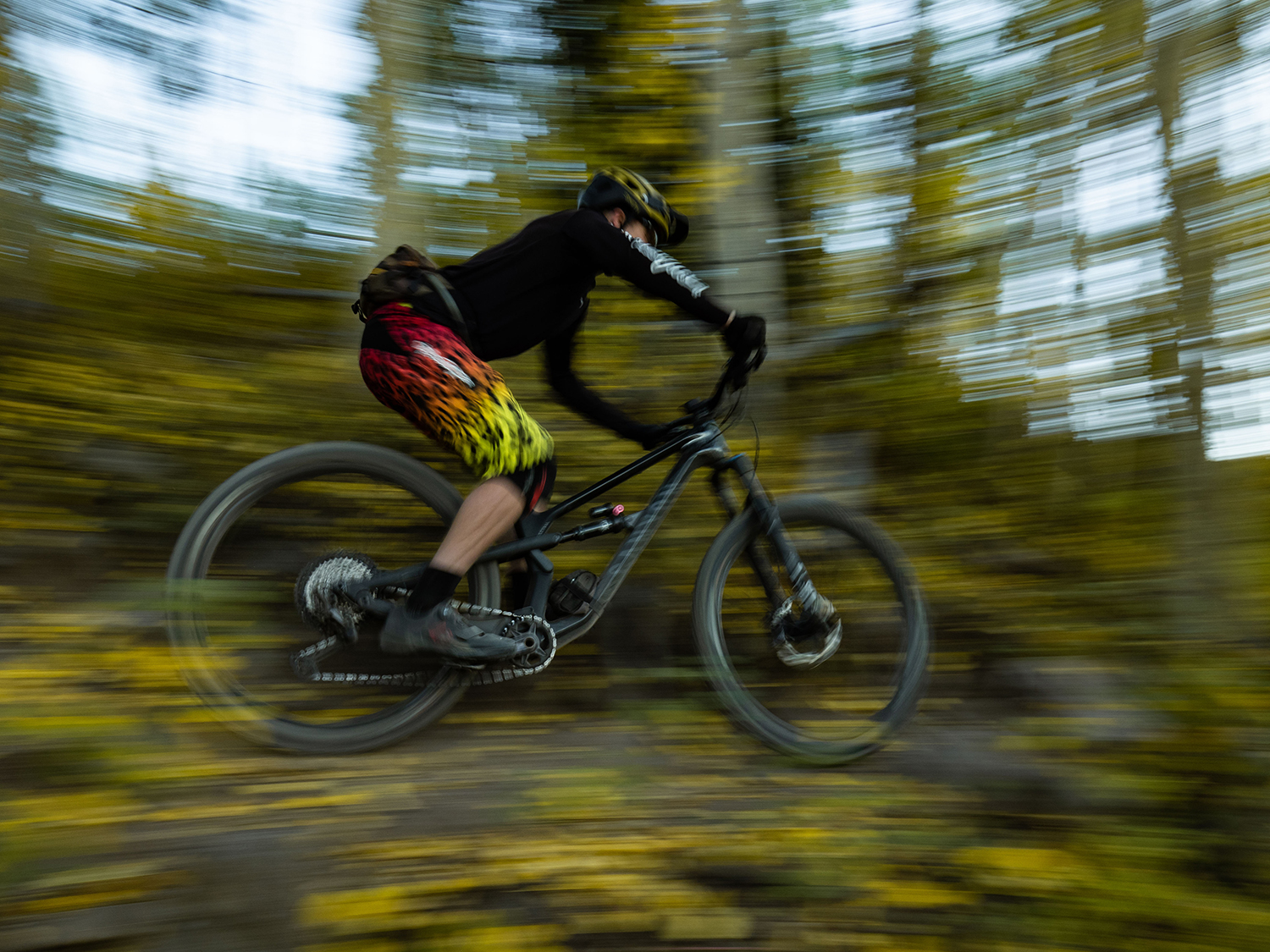 2021 Canyon Spectral 29 | Blister