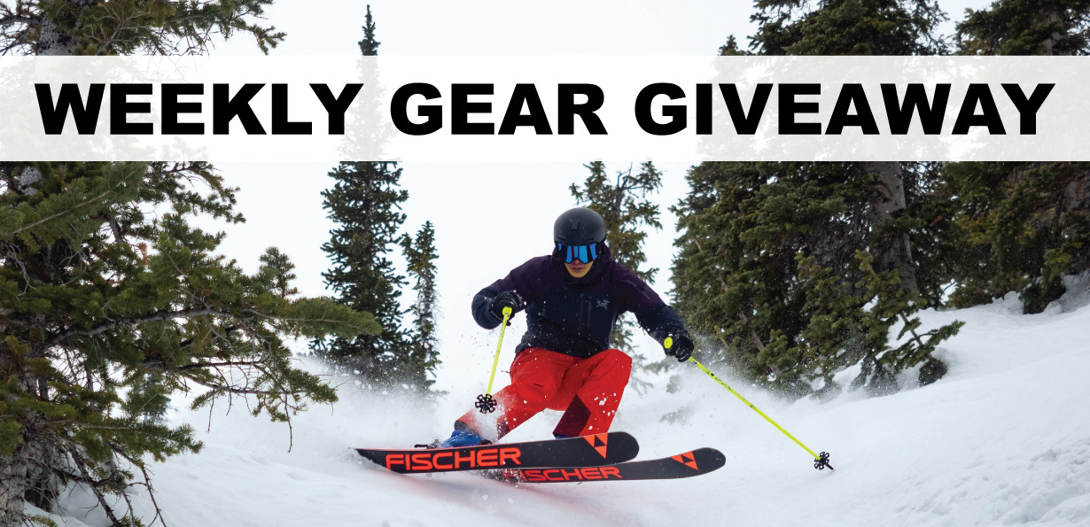 Win Fischer Skis | Blister