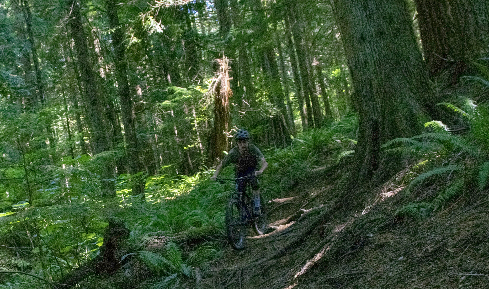 2021 Guerrilla Gravity Pedalhead Review | BLISTER