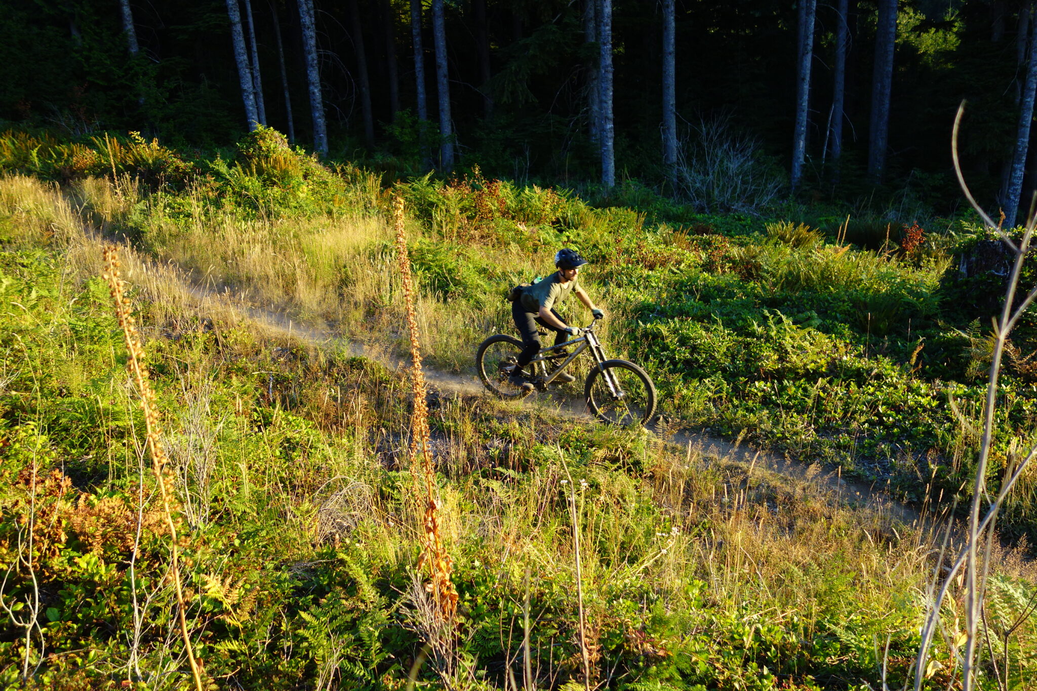 High Above Nova Hip Pack | Blister