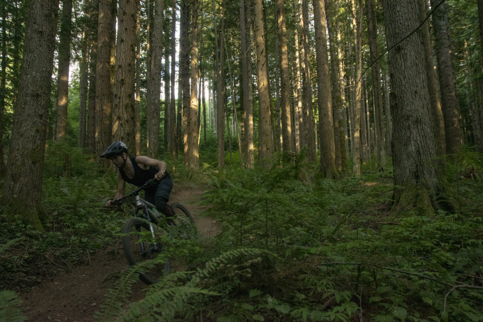 9point8 Fall Line Dropper Post | Blister