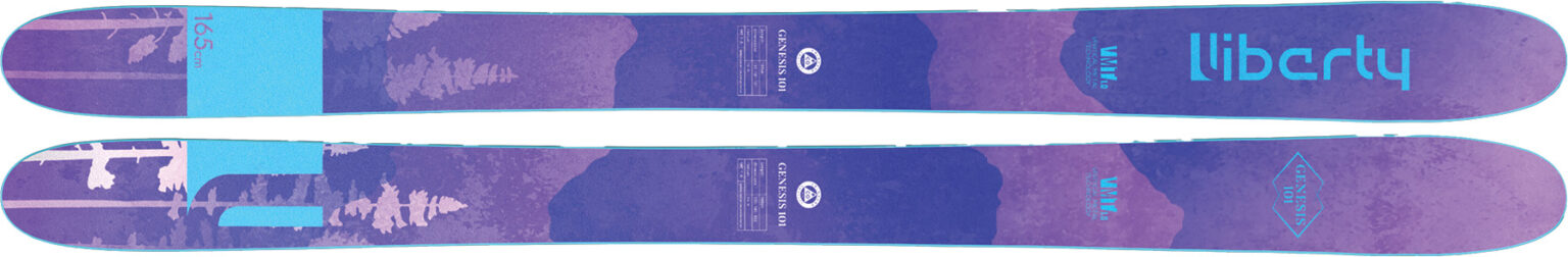 Best Skis for Beginners: Our Top Picks, 2022-2023 | Blister