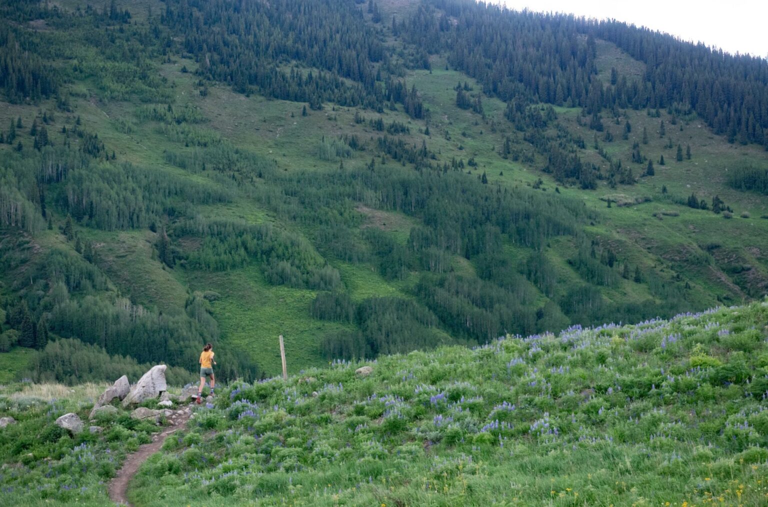 Trail Running Glossary of Terms: Trail Lingo | Blister Review