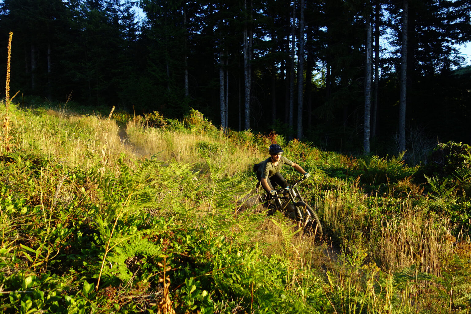 OChain Anti-Pedal Kickback Device Review | Blister