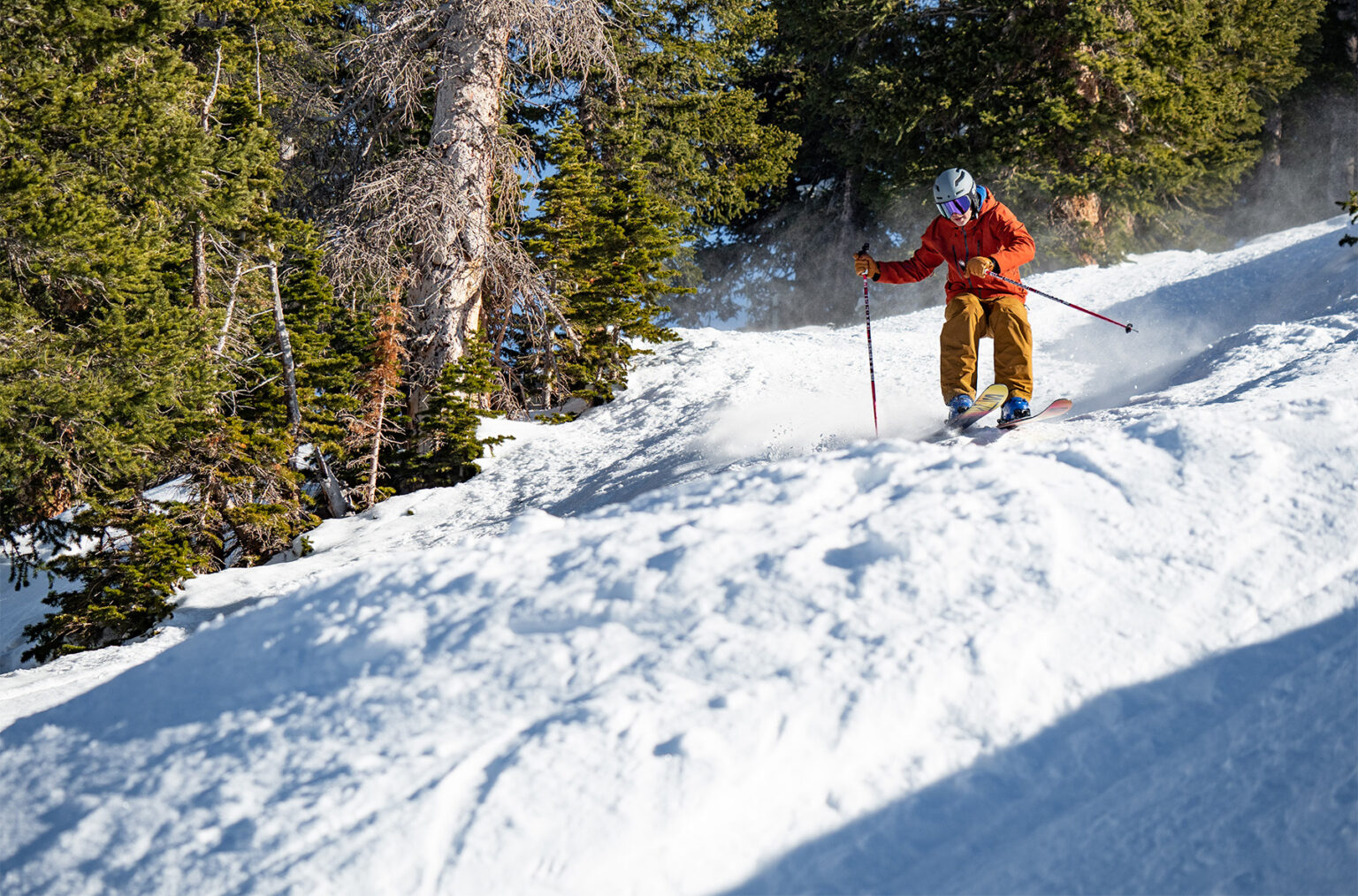 Deep Dive: Ski Boot Brand Lineups | BLISTER Outdoor Media & Gear Reviews