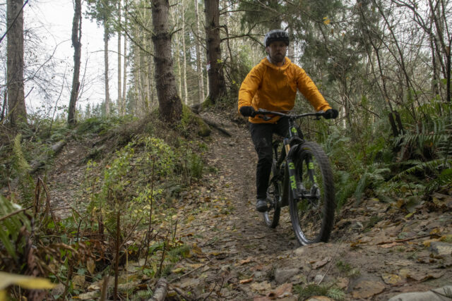 Ibis Ripmo V2S | Blister