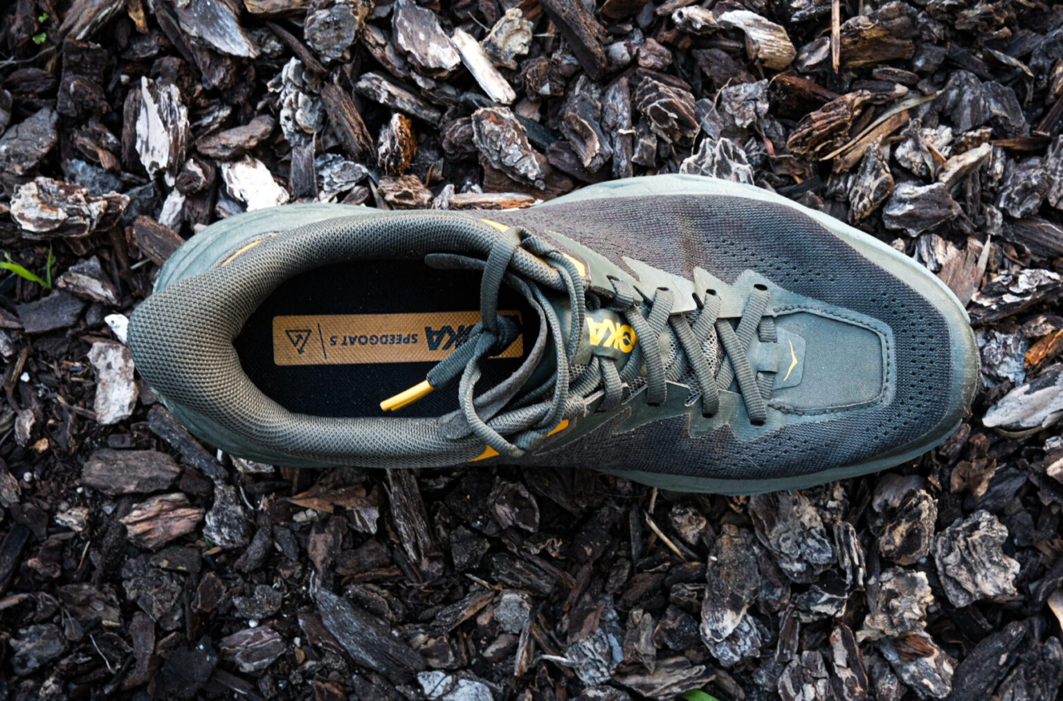 Hoka Speedgoat 5 | Blister Review