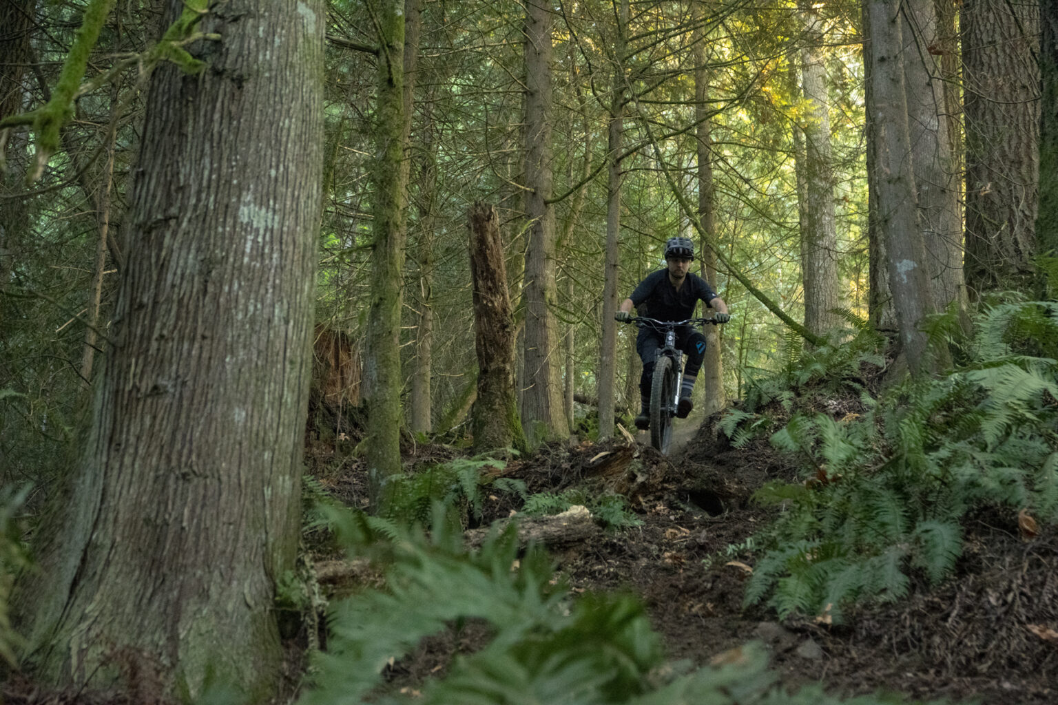 TRP DH-R Evo Brakes | Blister