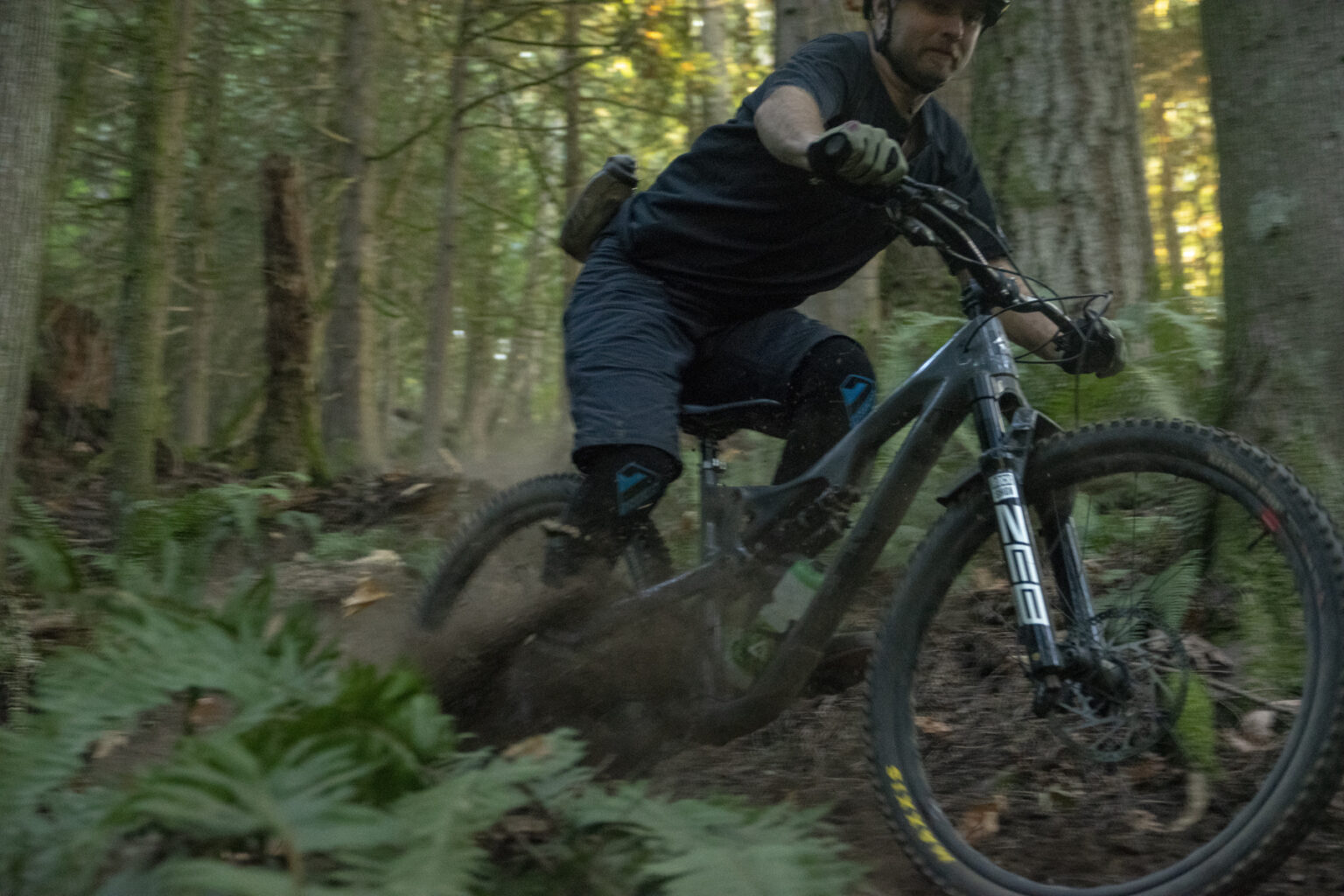 TRP DH-R Evo Brakes | Blister