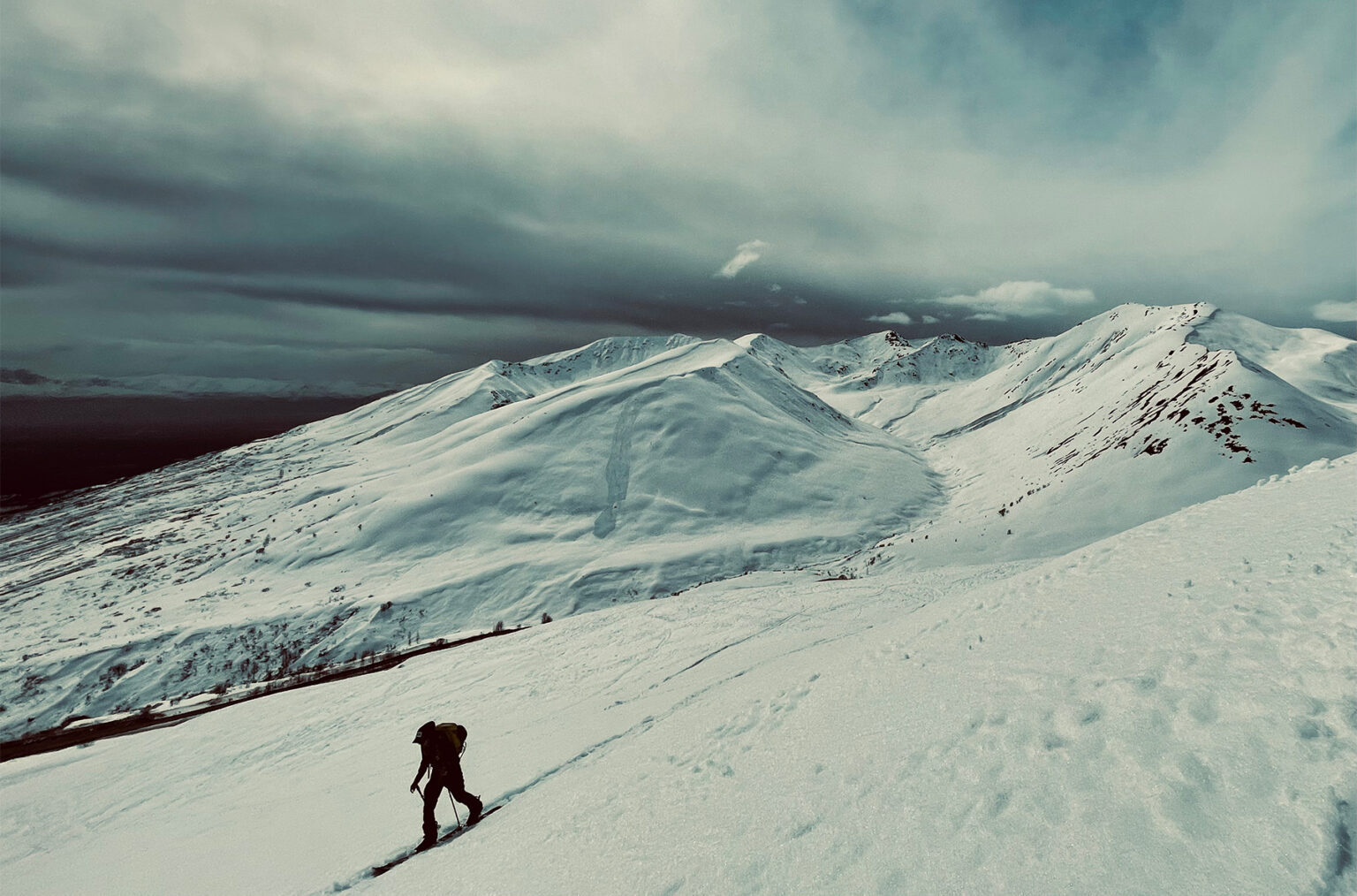 2022-2023 Lib Tech Orca Split | Blister