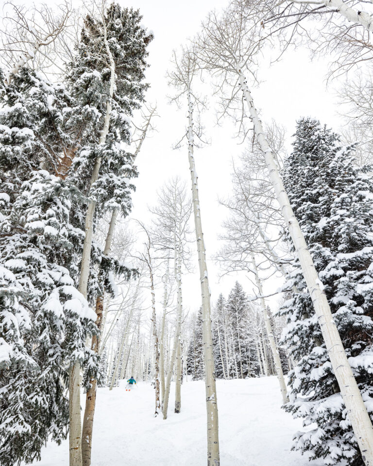 2023-2024 Blizzard Rustler 11 | Blister