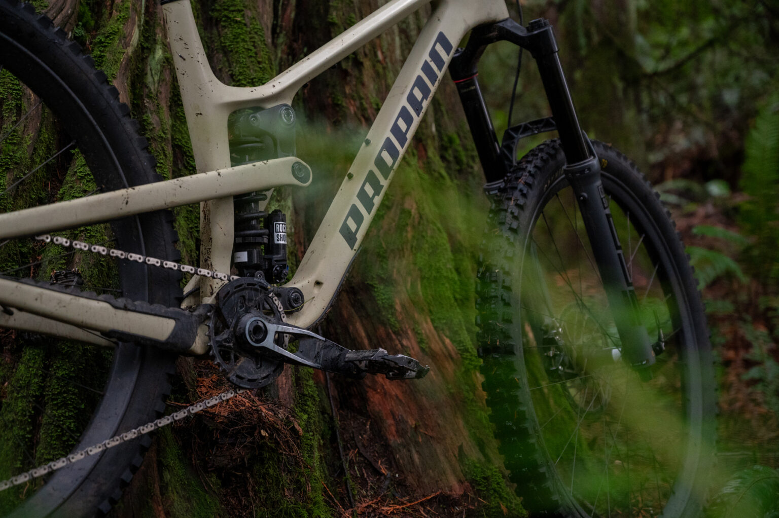 Propain Tyee | Blister