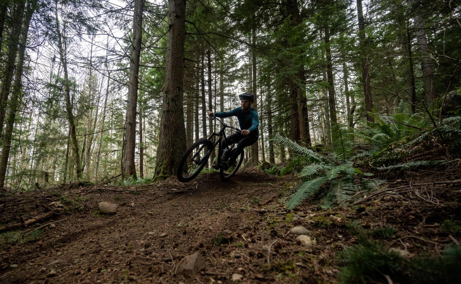 EXT Era V2.1 Fork | Blister