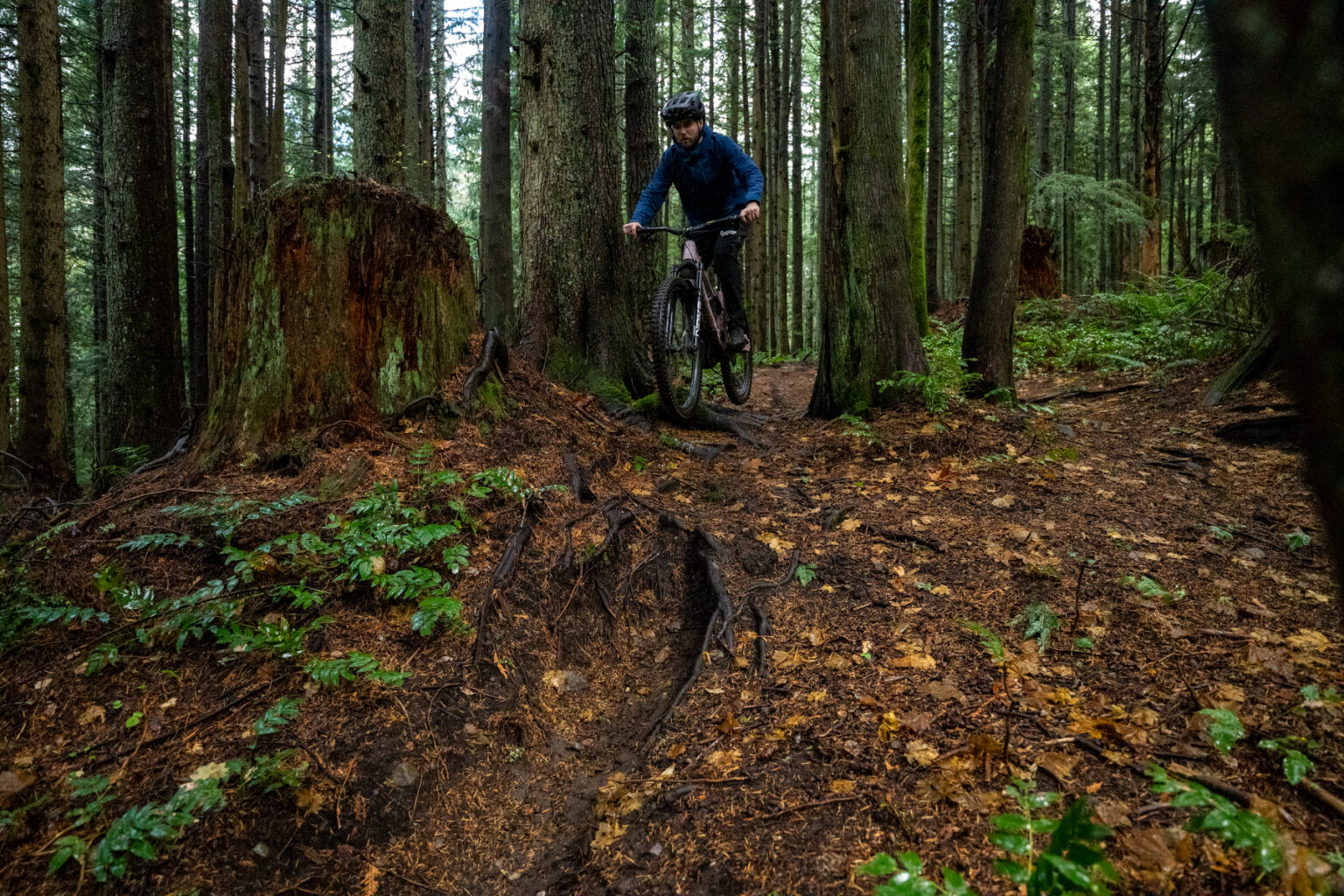 Forbidden Druid V2 | Blister