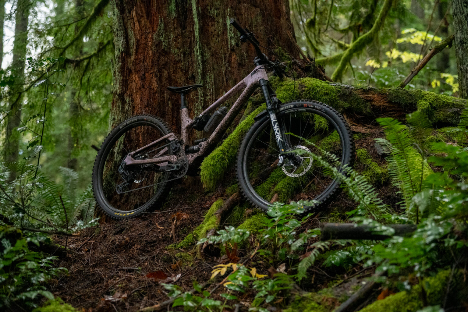 Bikes & Frames | BLISTER Outdoor Media & Gear Reviews
