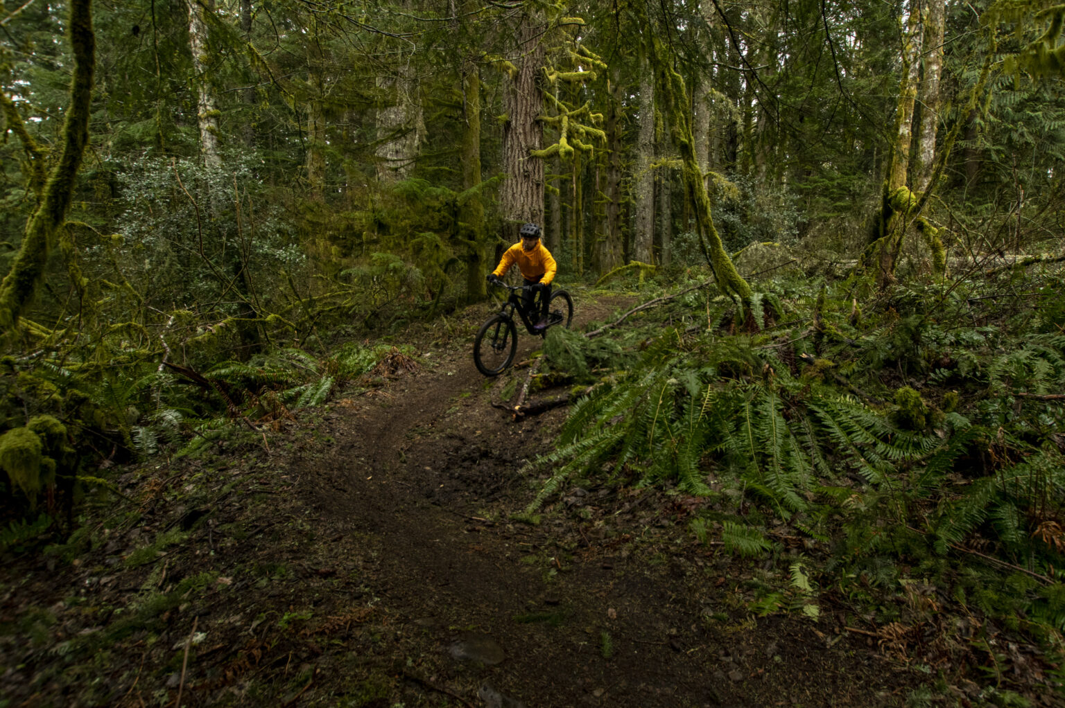 Chris King MTN30 Wheels | Blister