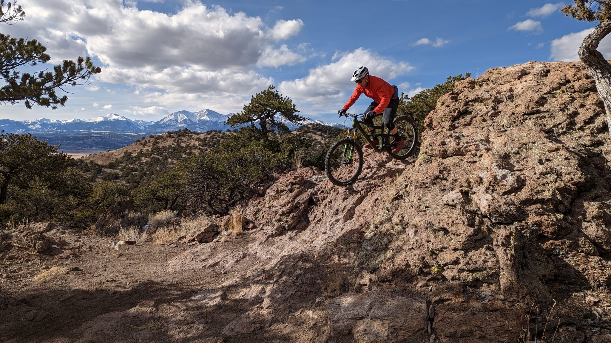 Fox Union Shoe | Blister