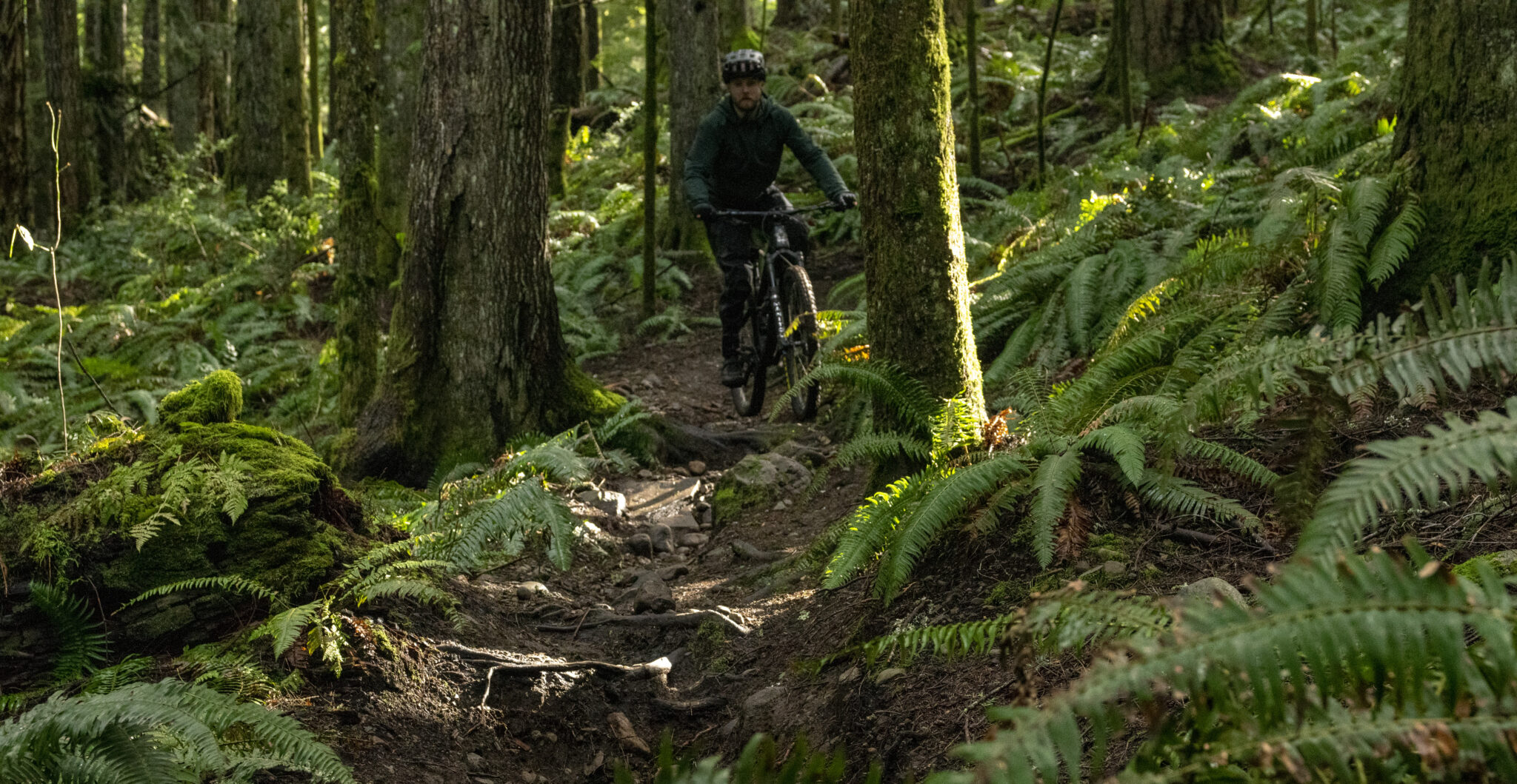 Öhlins TTX1 and TTX2 Air | Blister