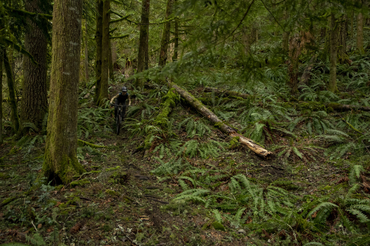 Öhlins TTX1 and TTX2 Air | Blister