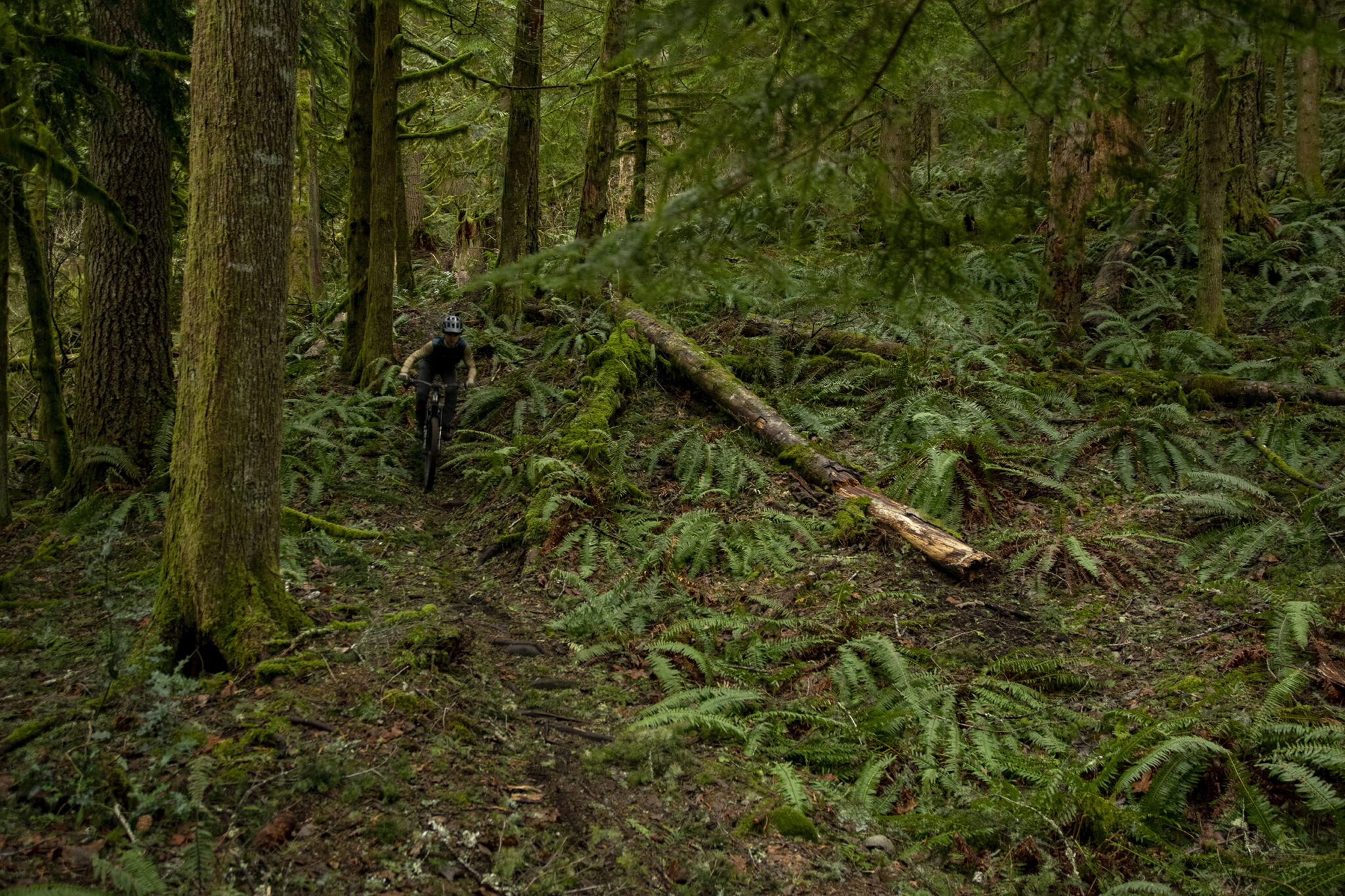 Öhlins TTX1 and TTX2 Air | Blister