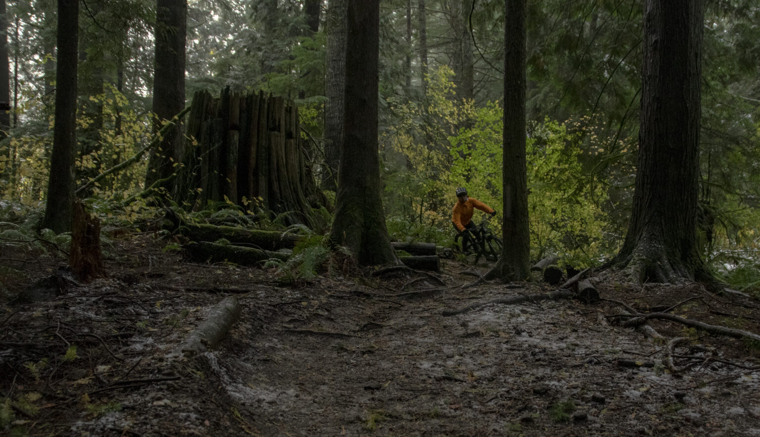 Öhlins TTX1 and TTX2 Air | Blister