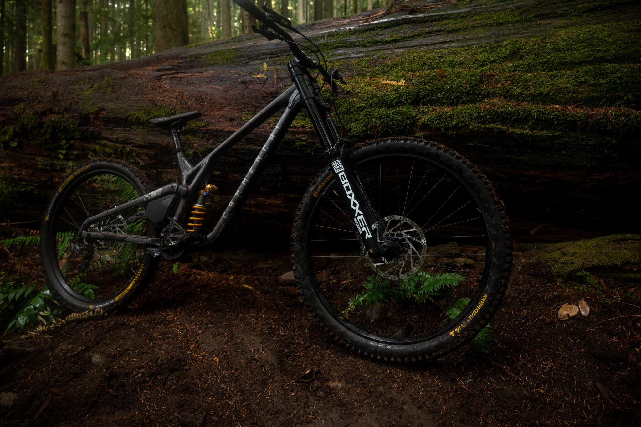 2024 RockShox BoXXer | Blister