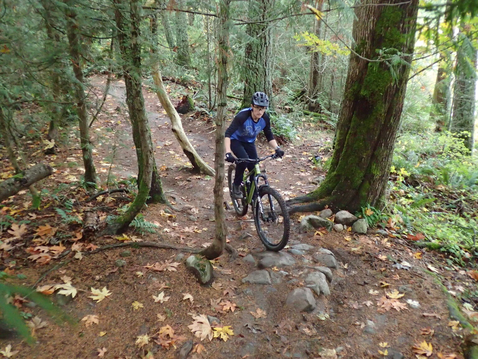 REEB Steezl | Blister