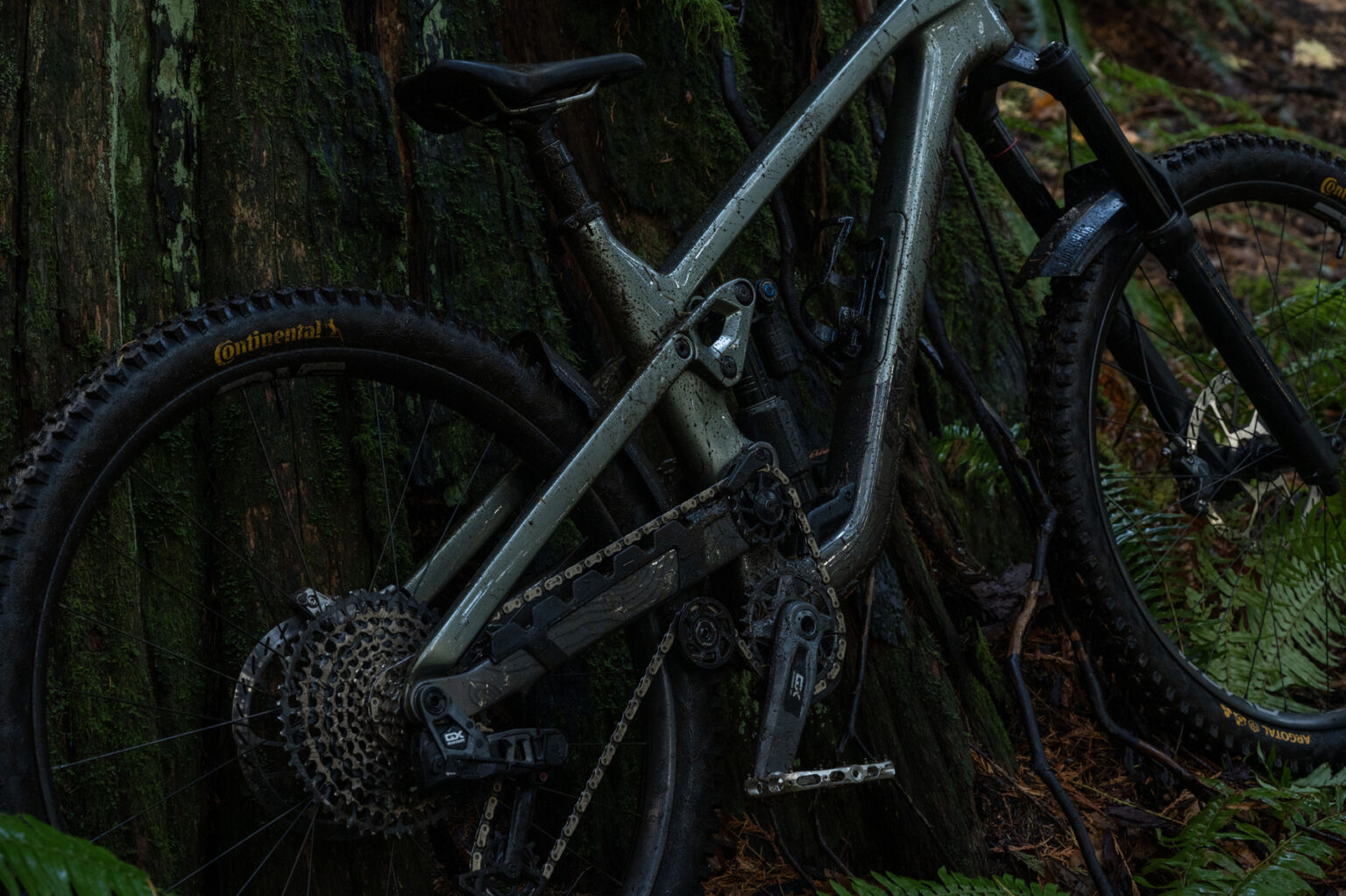2024 Trek Slash | Blister