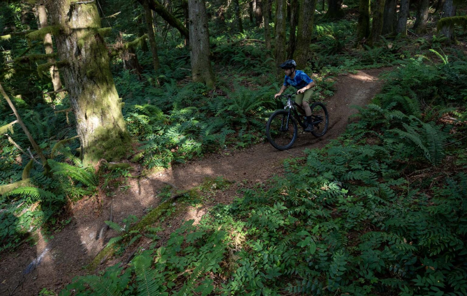 Shimano GE900 Shoes | Blister