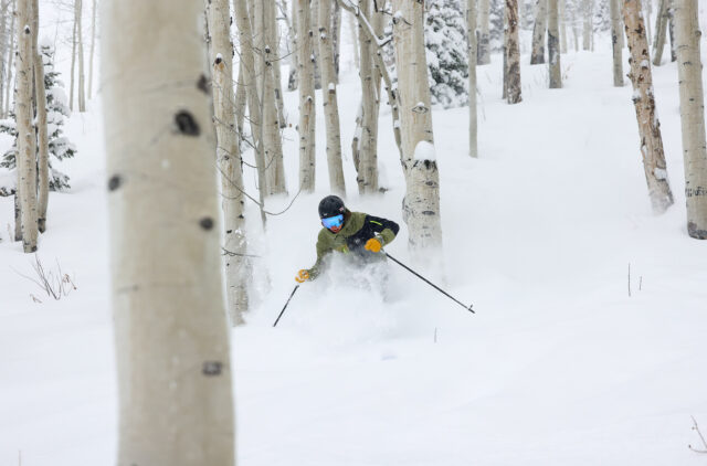 2023-2024 DPS Kaizen 105 | Blister